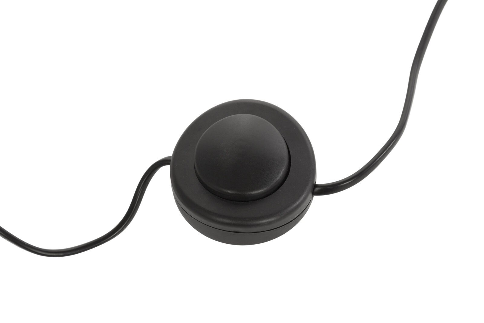 Toršeras Kriketas - The Muse.lt